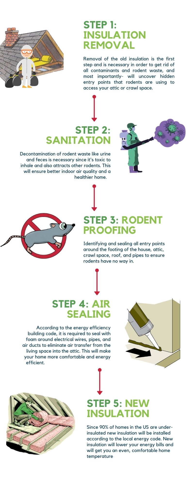 Rodent-Proofing Your Home: A Step-by-Step Guide | Pest Control'd