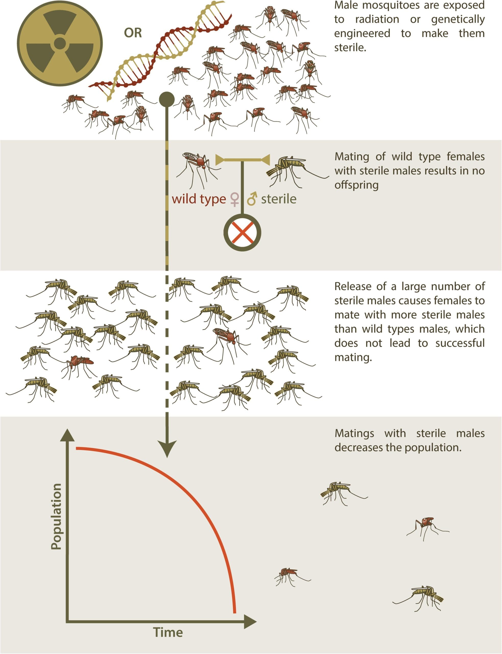 The Challenge Of Managing Invasive Pest Species | Pest Control'd