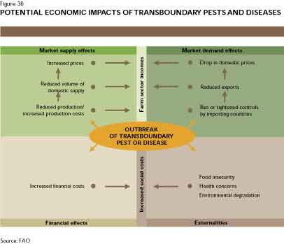 The Economic Impact Of Pests On Agriculture | Pest Control'd