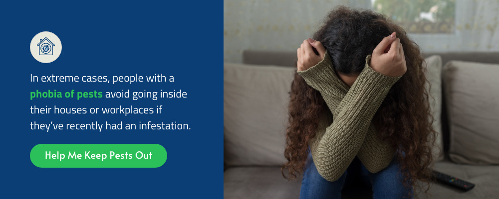 The Impact Of Pests On Mental Health | Pest Control'd