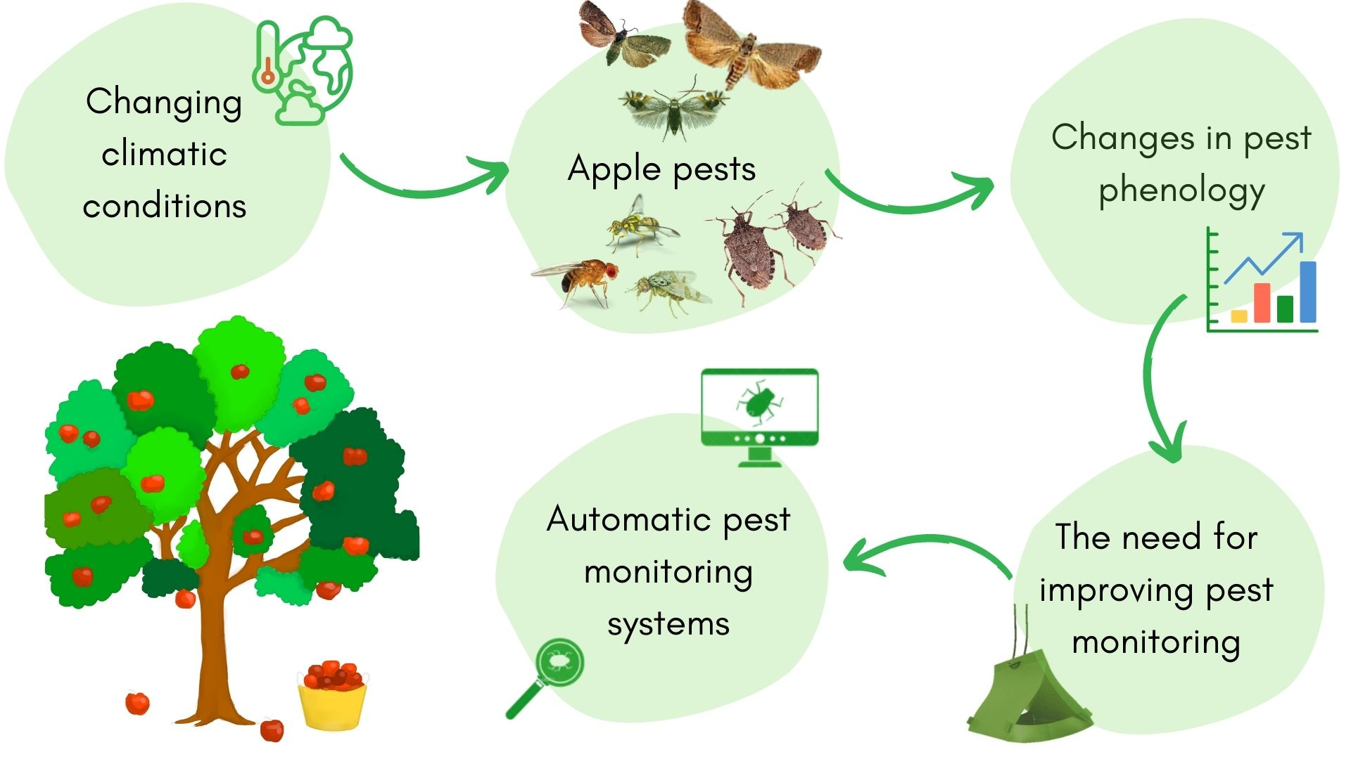 The Role Of AI In Modern Pest Control | Pest Control'd