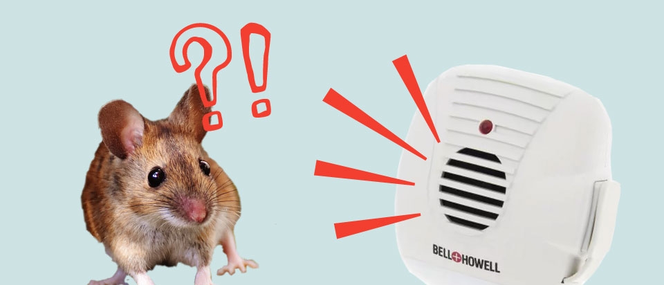Ultrasonic Pest Repellers: How Do They Work And Are They Safe? | Pest ...